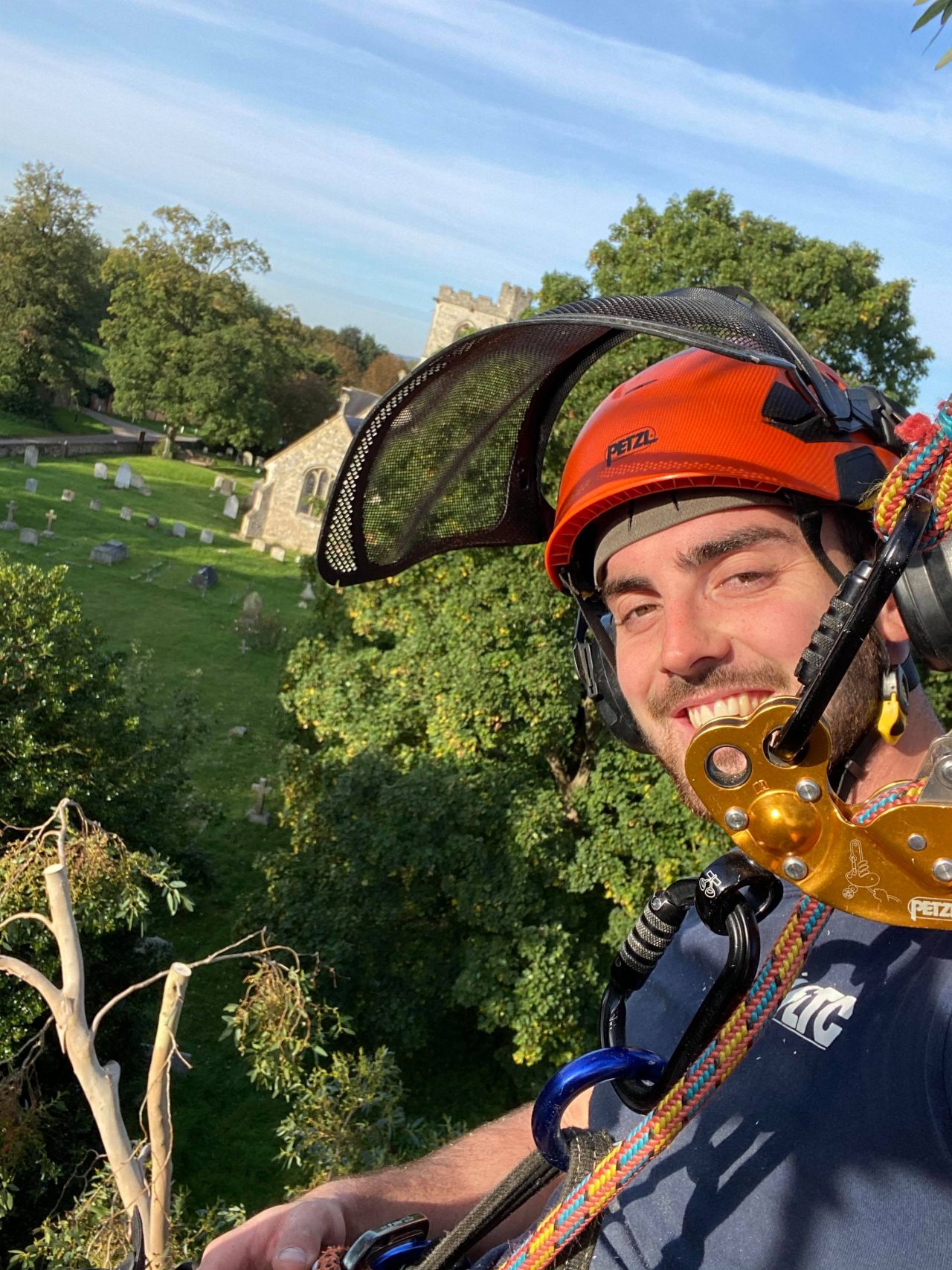 See Our Latest Tree Surgery Photos | Waterman Tree Co